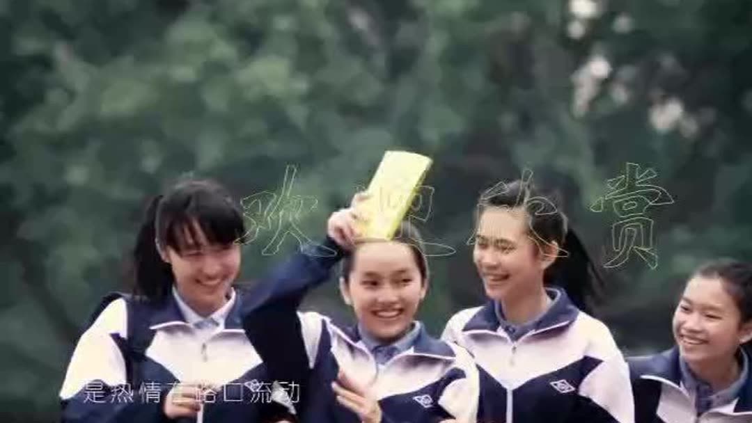 中小学学校宣传片(2762)720P