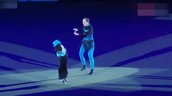 一只会跳舞的牧羊犬,与主人同台演出,太萌了!