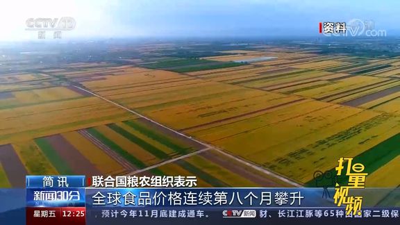 联合国粮农组织:全球食品价格连续第八个月攀升|新闻30分