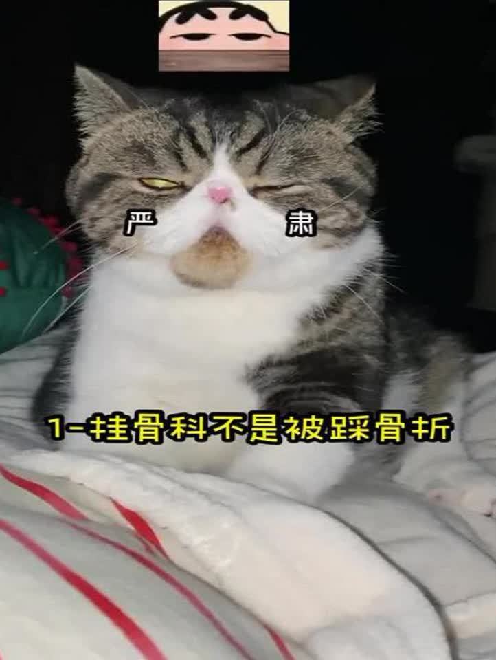 豆包:你让我澄清的我都说完了,今晚早点睡喔