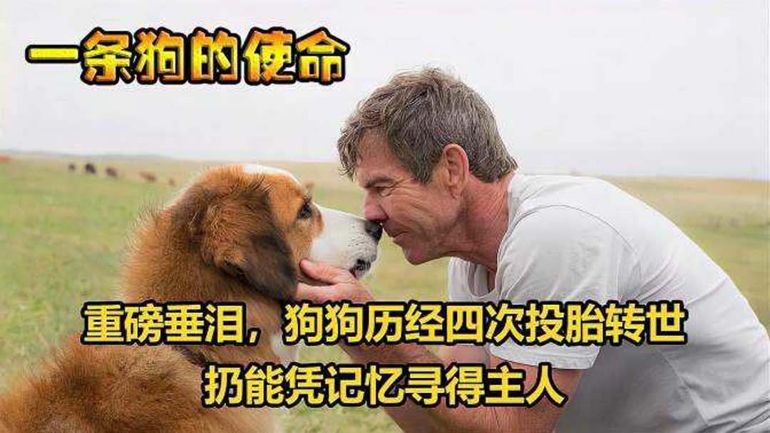 他只是一条狗,却让我哭得像狗