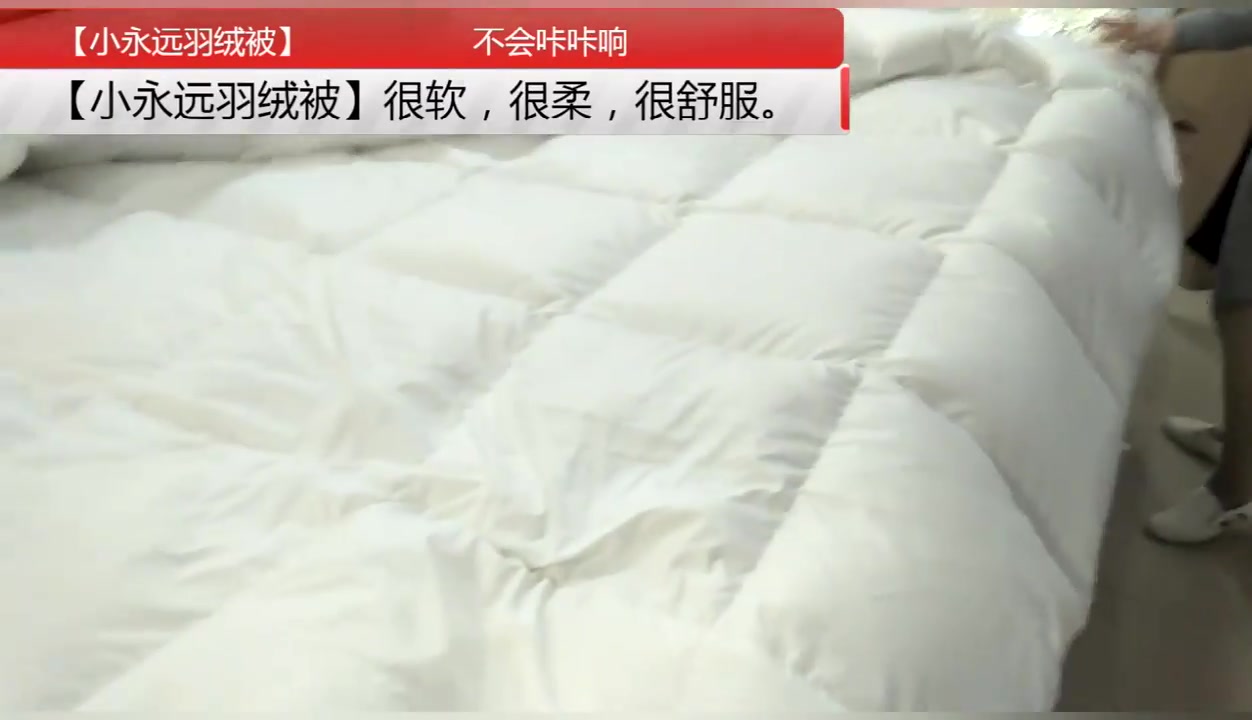 加厚保暖冬天羽绒被 东北95白鹅绒羽绒被