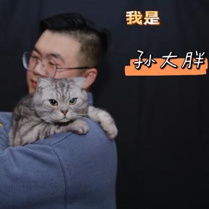 我是孙大胖 