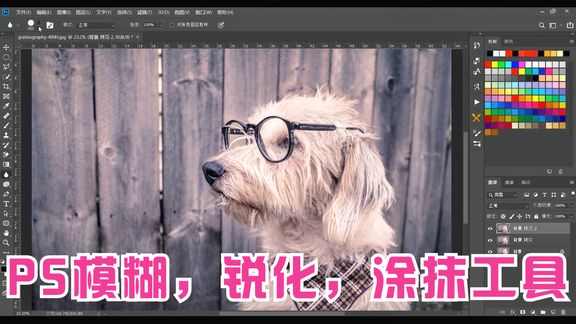 PS模糊工具锐化工具和涂抹工具教程。#学浪计划