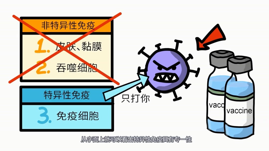 疫苗的作用原理是什么?疫苗是特效药吗?动画科普病毒疫苗