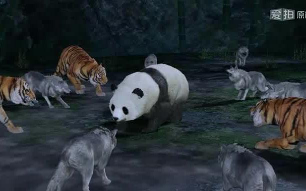 真三国无双7小乔拿五星秘武