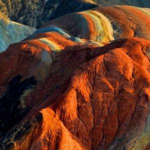 插上翅膀的蒲公英 