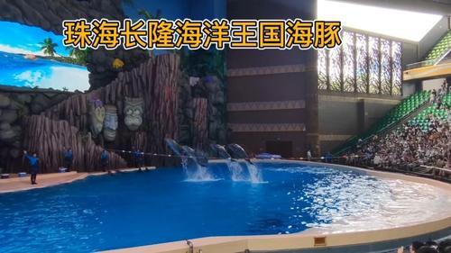 精彩的海豚表演,观众的掌声响起海豚半空中翻腾跳跃,舞姿优美
