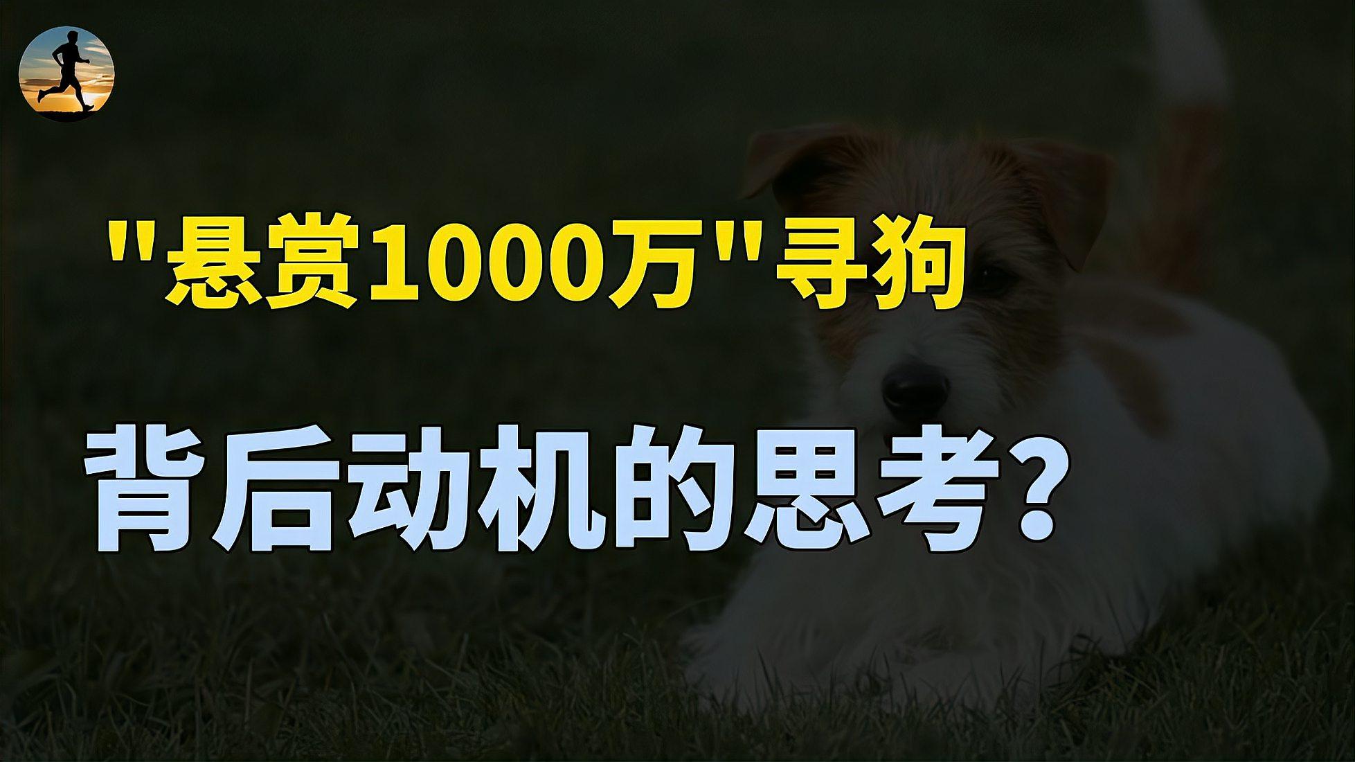 郑州男子悬赏1000万寻狗,狗已经找到,背后动机是什么?