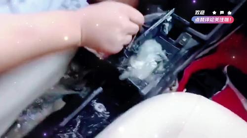 开个车还不忘游泳,这哥们操作6的勒,车船税没白买啊