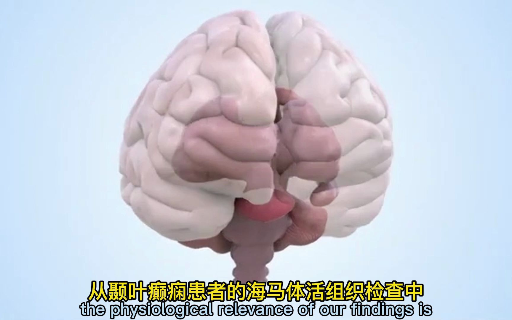 DNNM1介导的甲基化和DNA去甲基化如何调节胞吞基因表达的?