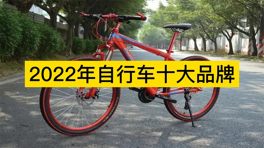 2022年自行车十大品牌,捷安特、永久牌、凤凰自行车分列前三