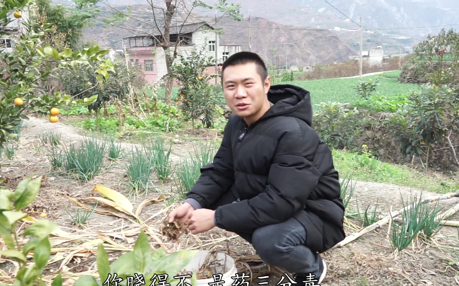 疏通血管的良药,还可以炖汤喝,你吃过吗?