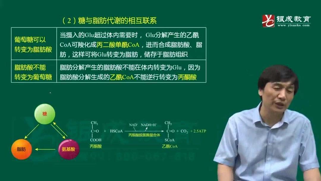 2020贺银成考研西医综合生物化学 第11章 物质代谢的整合与调节1