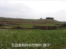 榆林——家乡篇