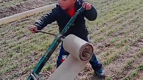 这就是劳动人类的智慧结晶,眼前的一幕,给农民省了不少力气太牛了!