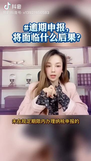 逾期申报将面临这些后果,你承担得起吗?