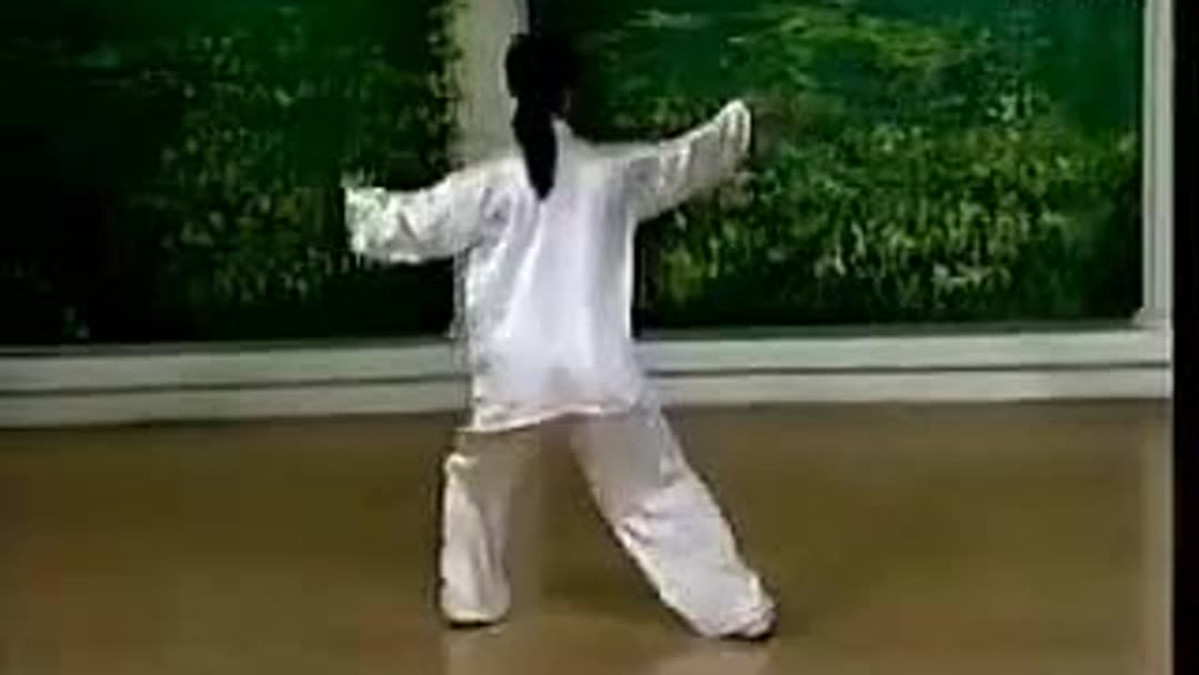 八式太极拳(带口令)背向演练_邱慧芳