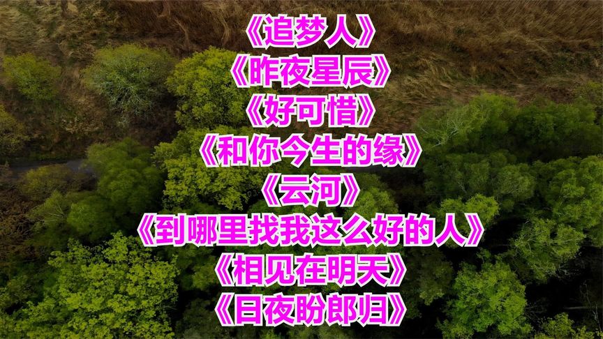 {追梦人}{昨夜星辰}{好可惜}{和你今生的缘}{云河}