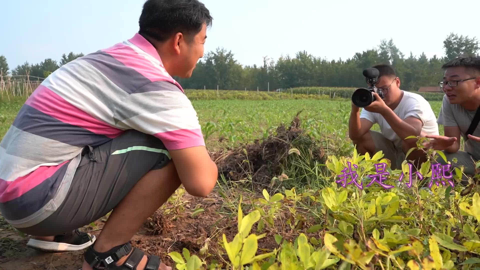 电视台来家里拍纪录片,全家都忙活起来,用镜头记录下欢乐时光