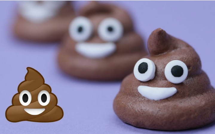 【洛洛烘焙课堂】Emoji 小便便表情制作教学 @柚子木字幕组