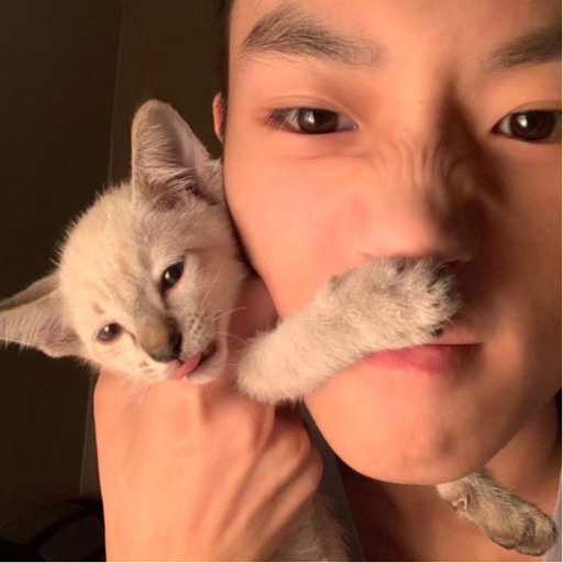 顾与有双小长腿 