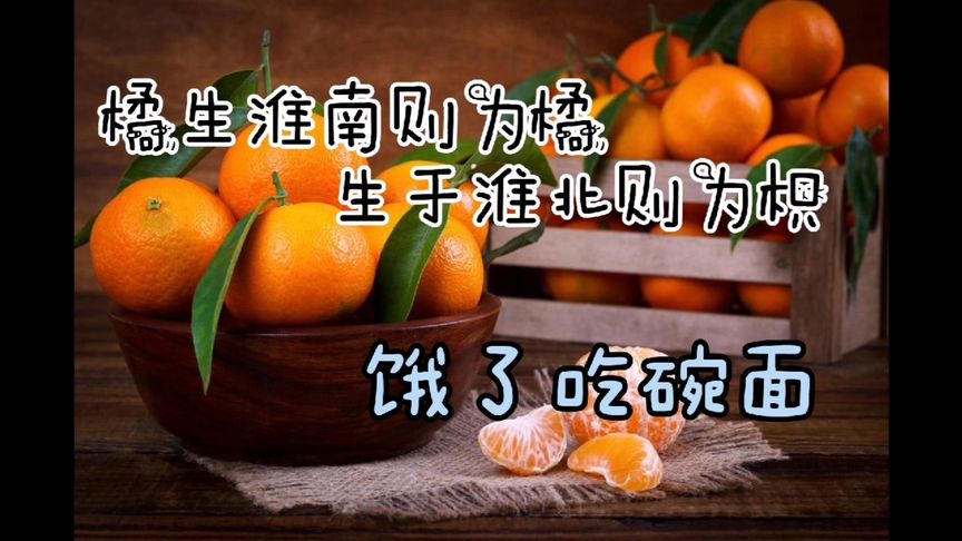 橘生淮南则为橘,生于淮北则为枳