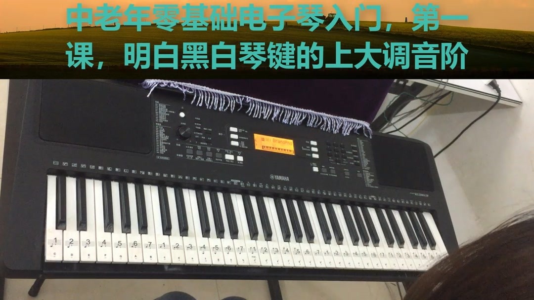 零基础入门学习电脑办公表格文档,电脑键盘主键盘区讲解