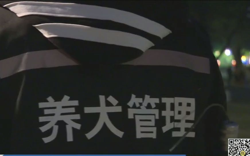 禅城城管开展养犬管理专项执法行动