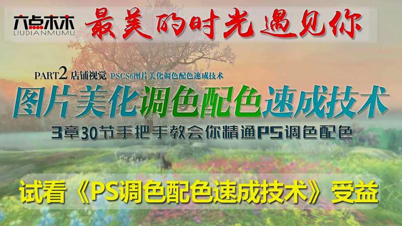PSCS6调色配色教程试看:自学PSCS6调色配色速成技巧系列课程收益