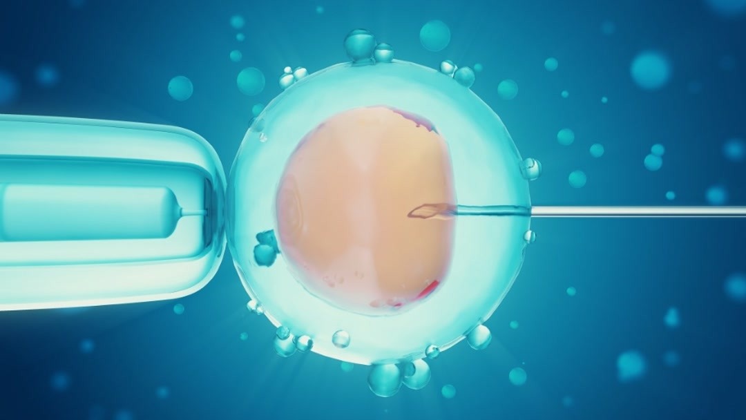 试管移植后有哪些注意事项呢?医生坦言:这些事需牢记