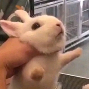 心中有党万事不慌i 