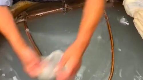 手艺人用一双手剥蚕茧,这一手绝活,农村都快失传了!