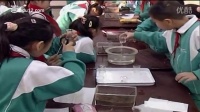 合作学习优秀课例:小学科学《土壤里有什么》课堂实录(中小学新课程...