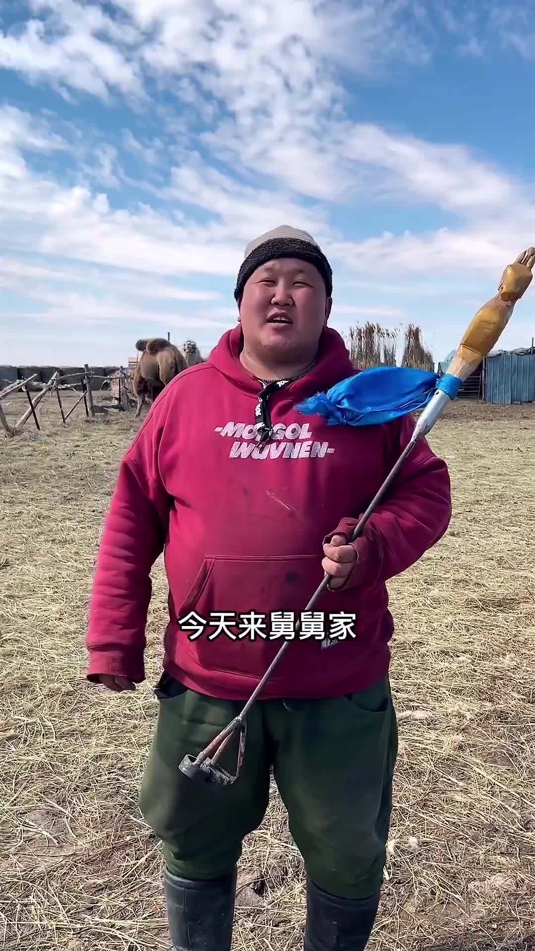 给自己家的骆驼做记号也是一件辛苦的事啊,你们有别的方法吗