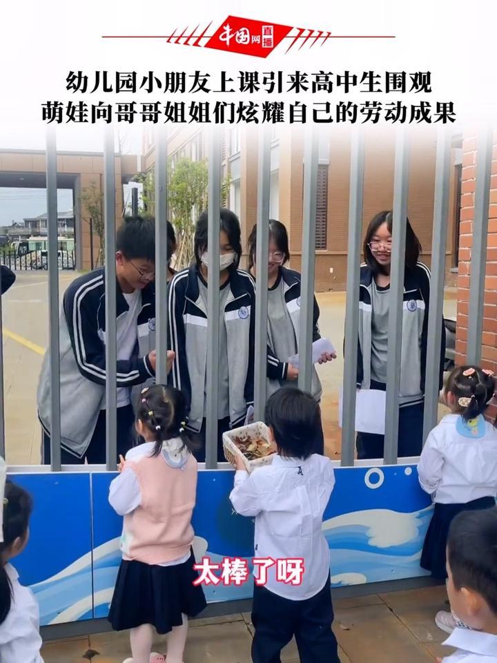 ...上课引来高中生围观,萌娃向哥哥姐姐们炫耀自己的劳动成果,这互动也...