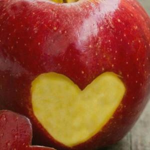 洒脱的只娶红太狼女孩 