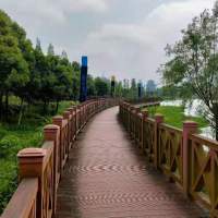 人生不过长百年 