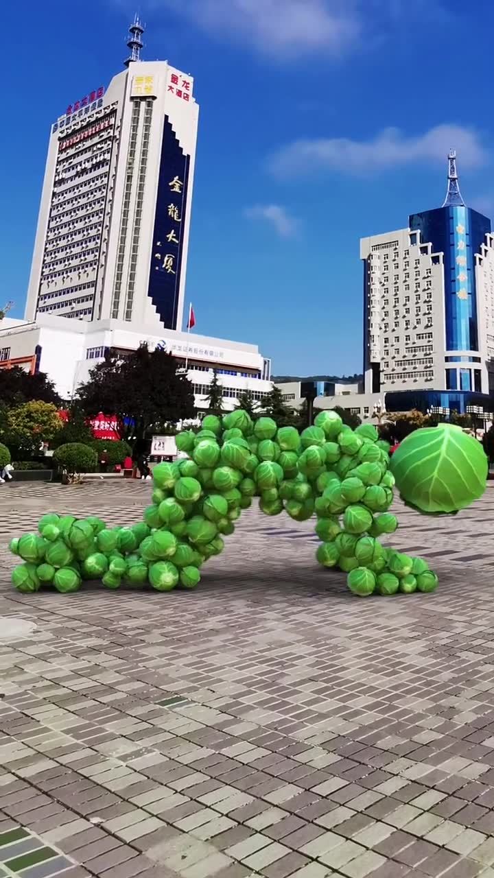 不同国家做俯卧撑,感觉中国已经无敌了