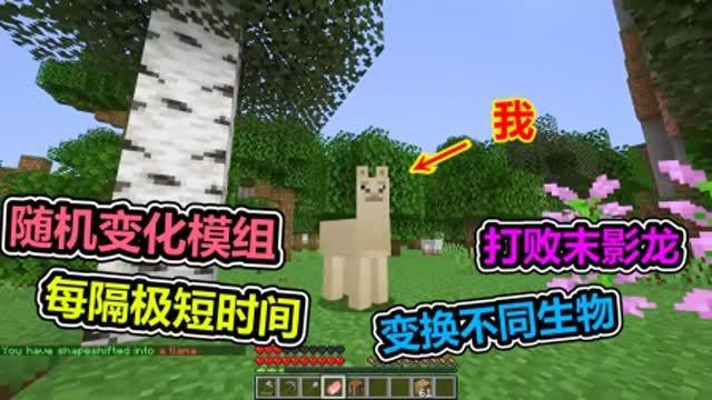 我的世界:随机变化模组,短时间随机变成一种动物,打末影龙去