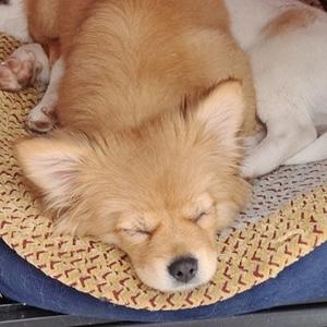 活在粉色回忆里 