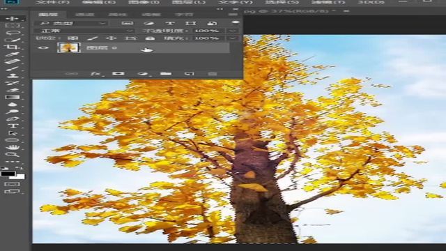 通道抠图的详细教程来咯