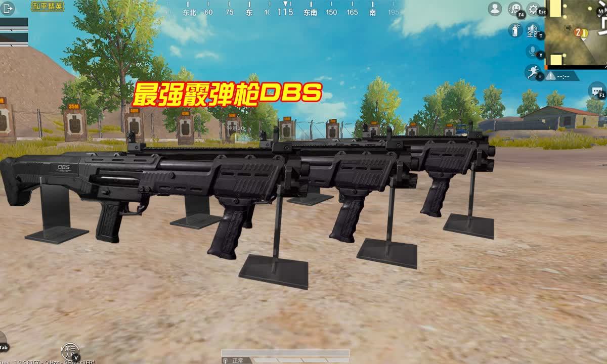 DBS取代S686?成近战之王,对枪能力远超步枪!