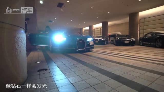 世界上最贵的汽车喷漆,老外花100万美元定制