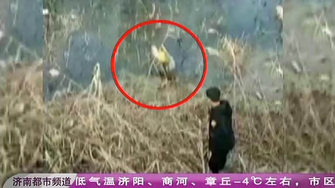 男子不慎落入湖中 五名中学生奋力营救