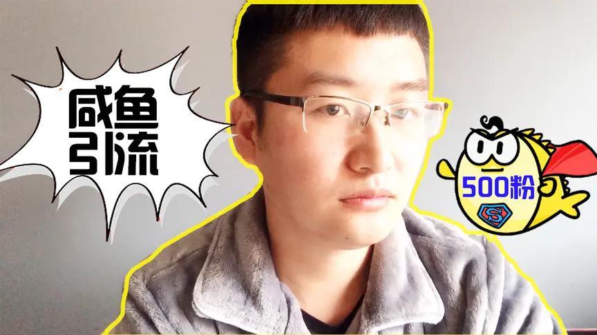 闲鱼引流日进500粉,淘宝客...