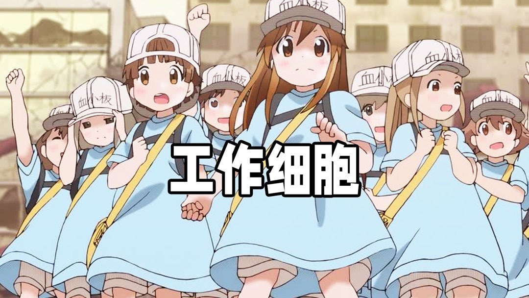 高分科普动画,当你不小心擦伤后,细胞世界会发生什么?