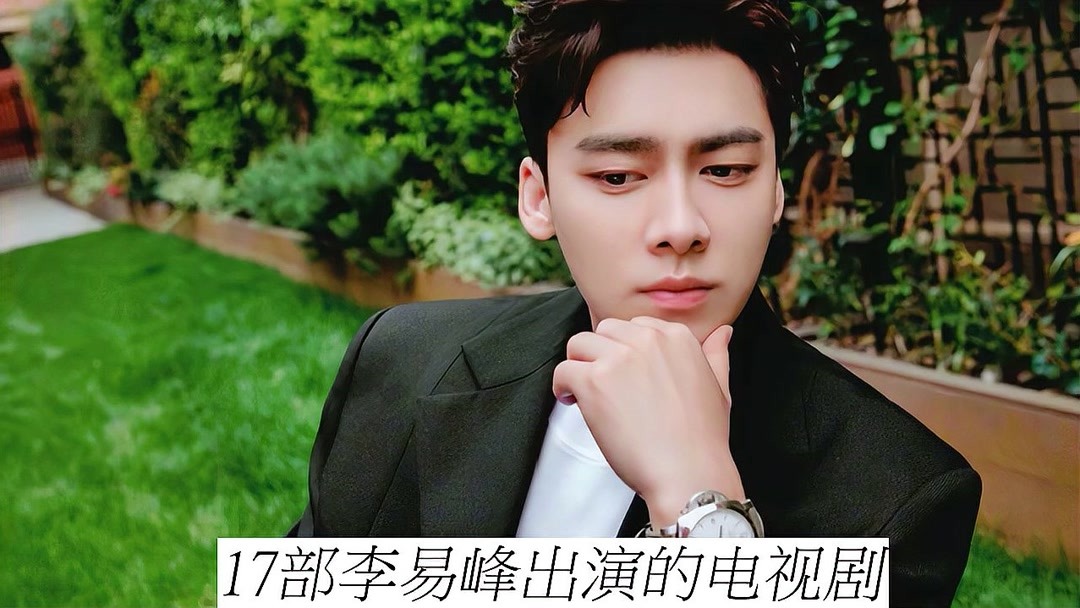 17部李易峰出演的电视剧