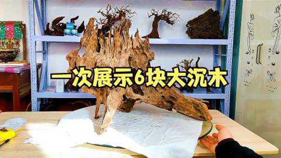 6块精品沉木,鱼缸造景好物,1米至2米水族箱,放进去就是美景