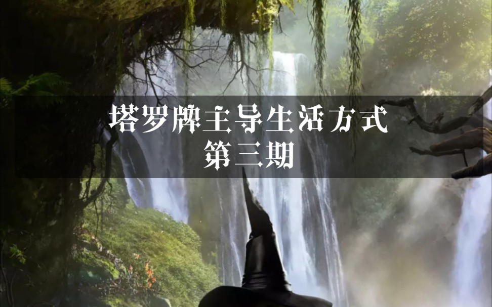 塔罗牌怎么玩?这个夏天很美好!